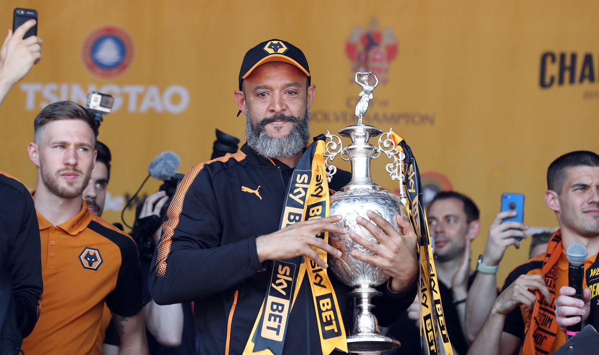 Don Goodman: Wolves ‘would cruise into top half of Prem’ | Express & Star