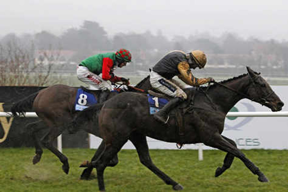 Sheila Crow hopes to revive memories at Cheltenham | Shropshire Star