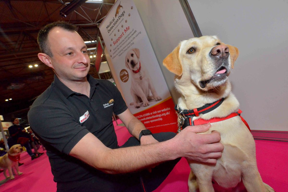 Crufts 2019: Work dogs on show at Birmingham NEC | Express & Star