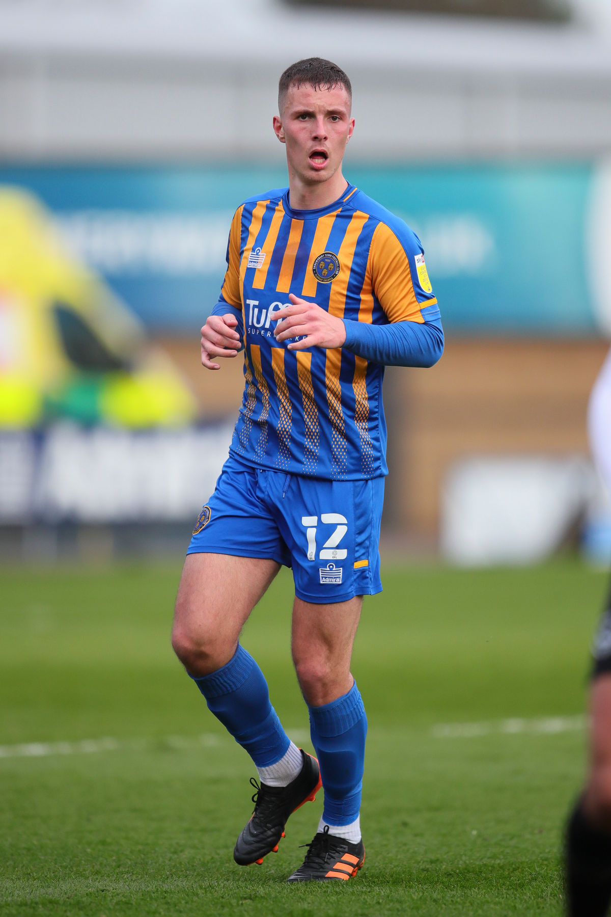 Ryan Sears happy to play his part for Shrewsbury Town | Shropshire Star