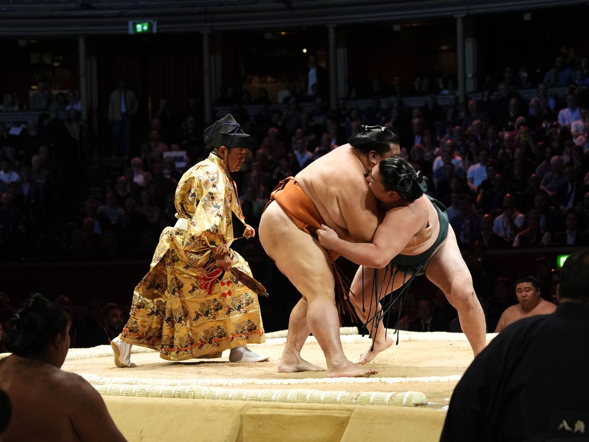 Sumo wrestling returns to London at a sold out Royal Albert Hall ...
