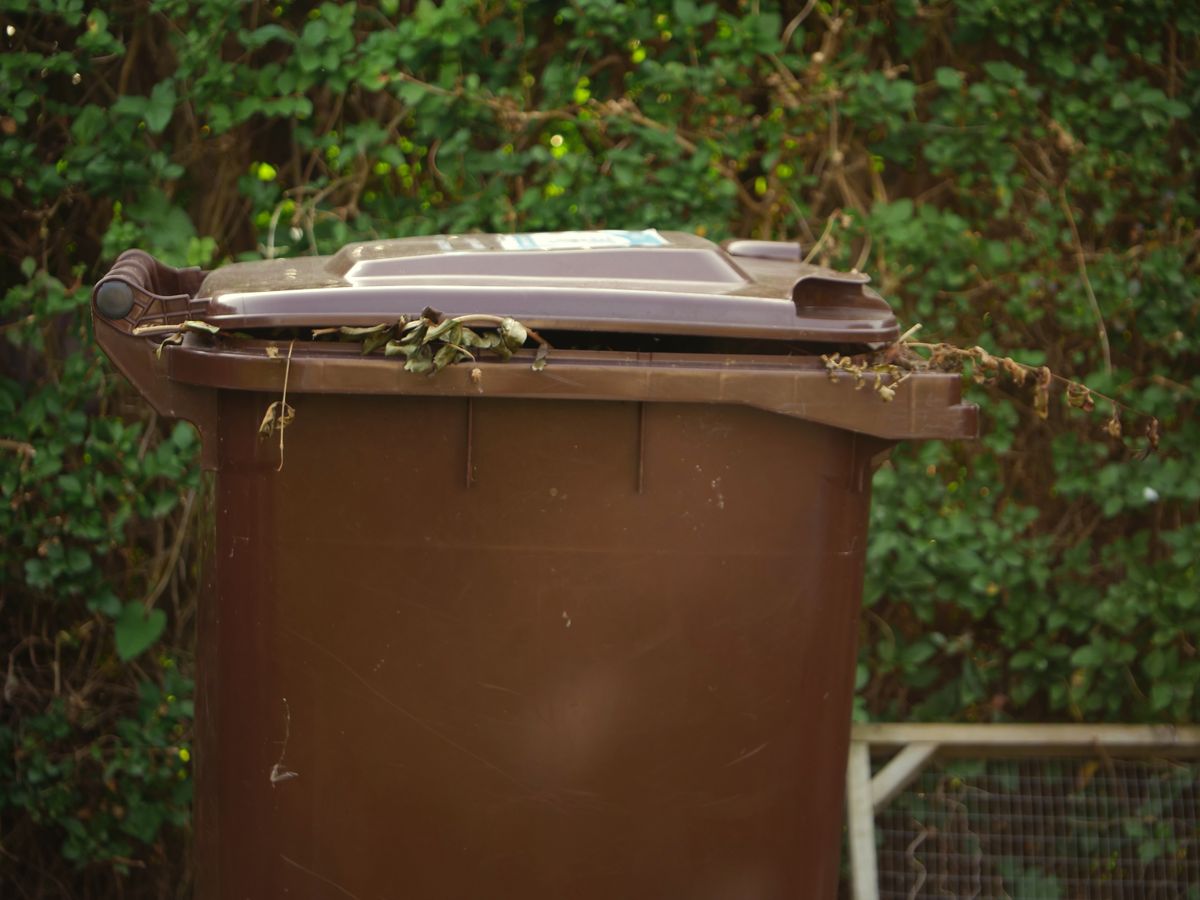 Walsall Council’s brown bin collection to remain free of charge for 2025 | Express & Star