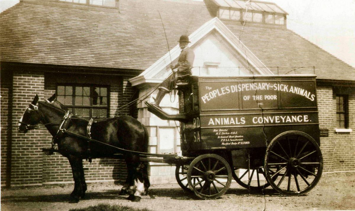 Telford-based PDSA's century of helping sick animals | Shropshire Star