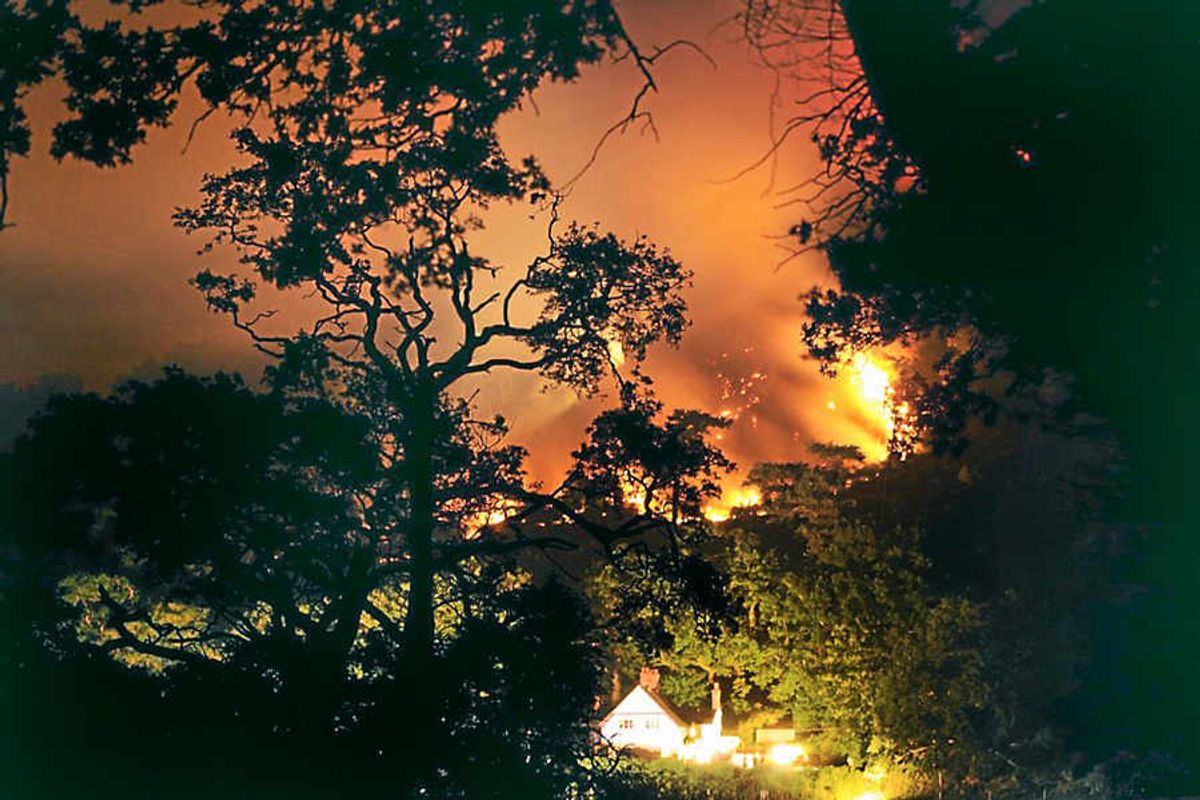 Fifty firefighters tackle huge blaze at Grinshill Wood | Shropshire Star