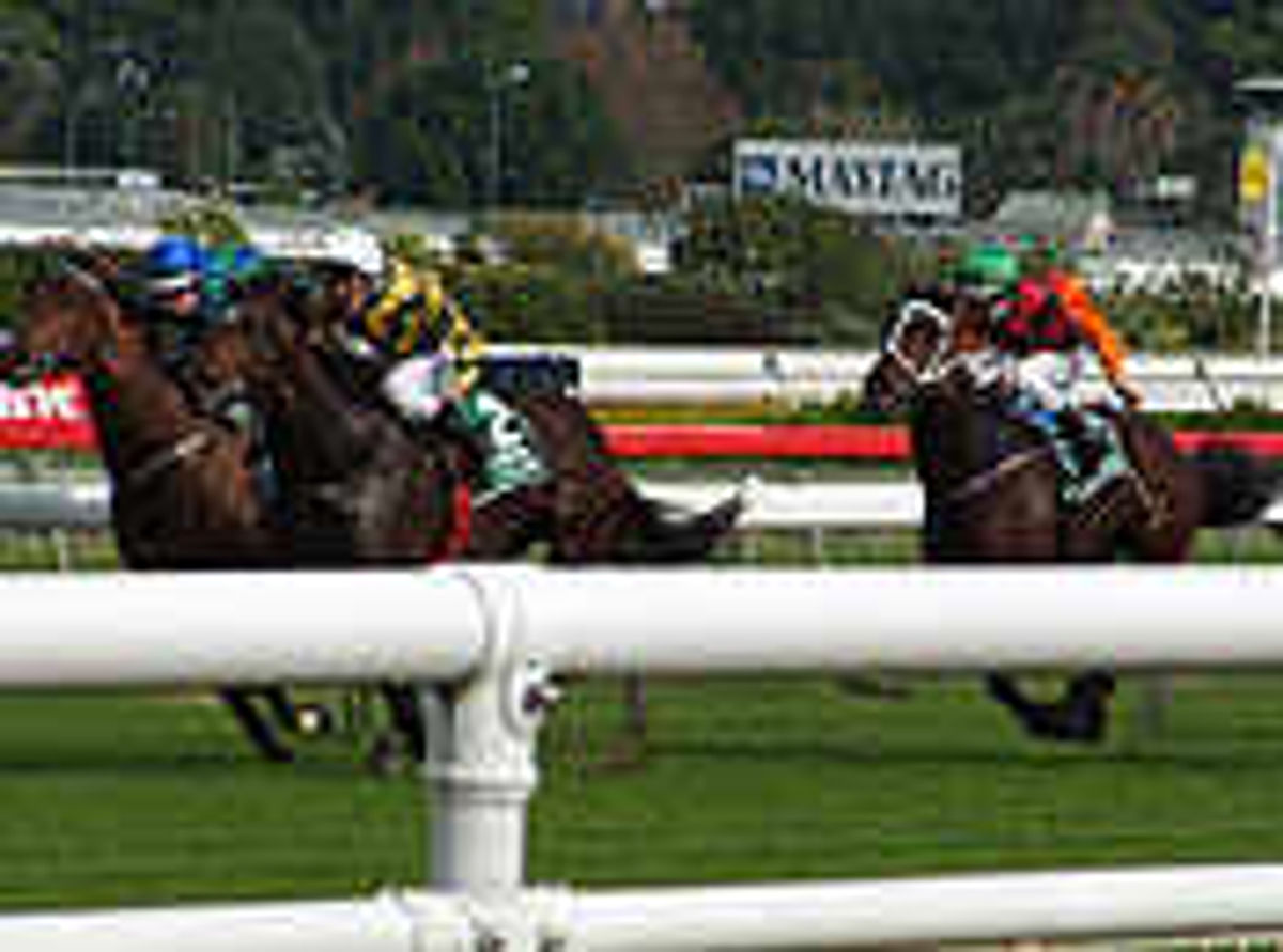 Sheila names win for late husband | Shropshire Star