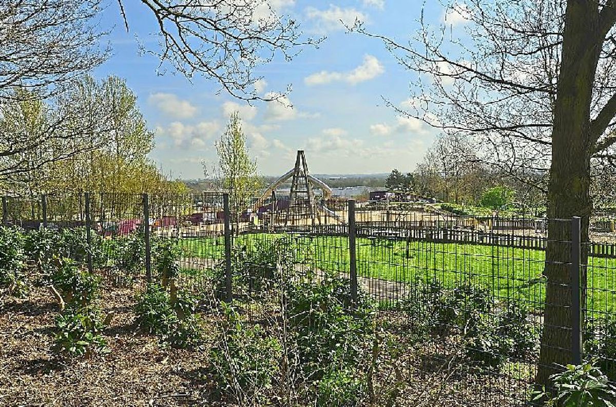 Giant-sized fun on way to celebrate 50 years of Telford | Shropshire Star