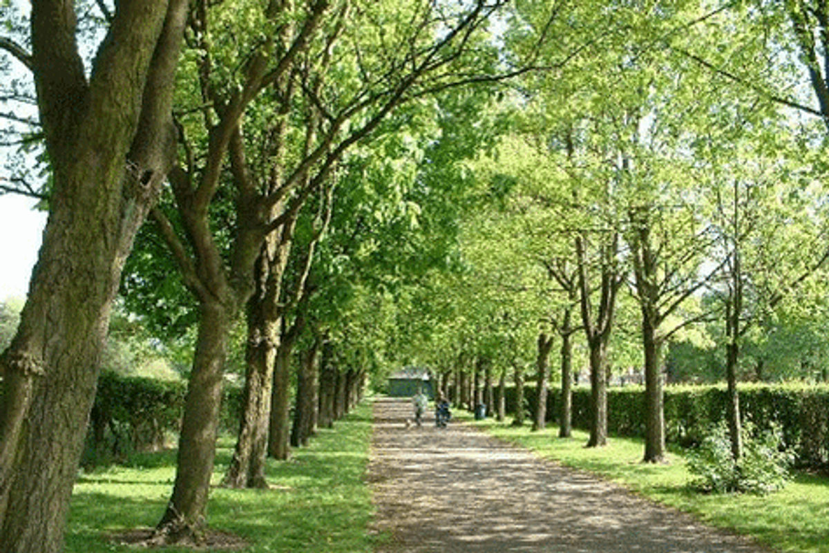 Appeal for memories of Hednesford Park | Express & Star