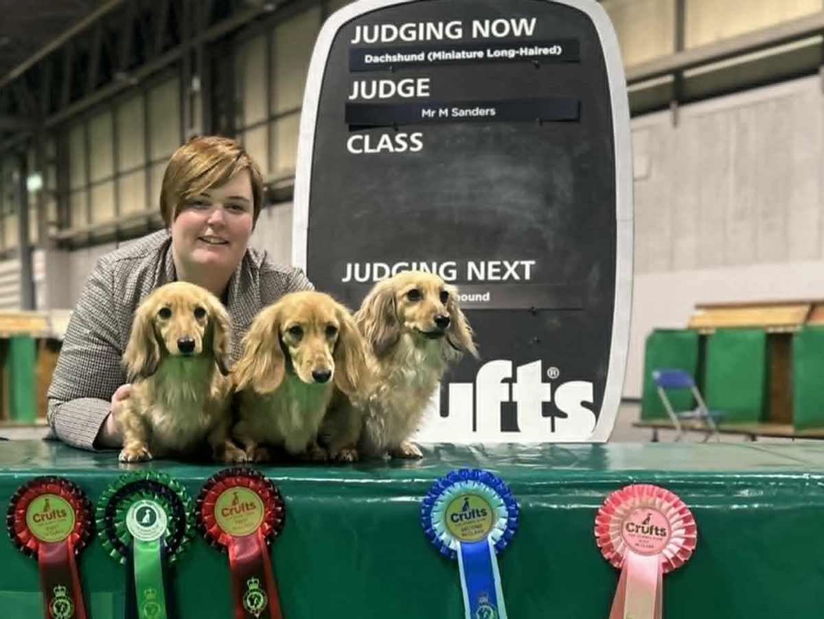 West Midlands Ambulance Service paramedic handed four ribbons in ...