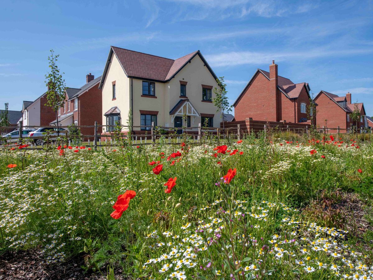 Award nominations for SJ Roberts Homes | Shropshire Star