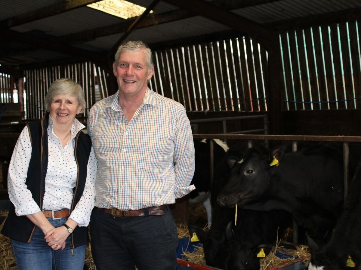 Everyone encouraged to 'have a go' at Guilsfield Show this August ...