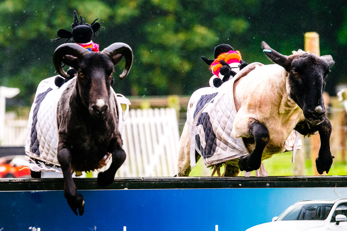 Red Robbo was not all that red - Letters for May 19 | Shropshire Star