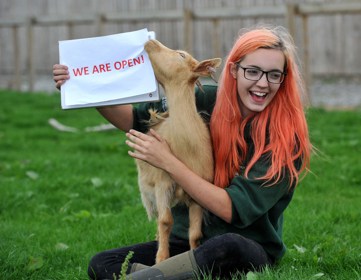 April and Millie delighted Sandwell family farm is back open | Express ...