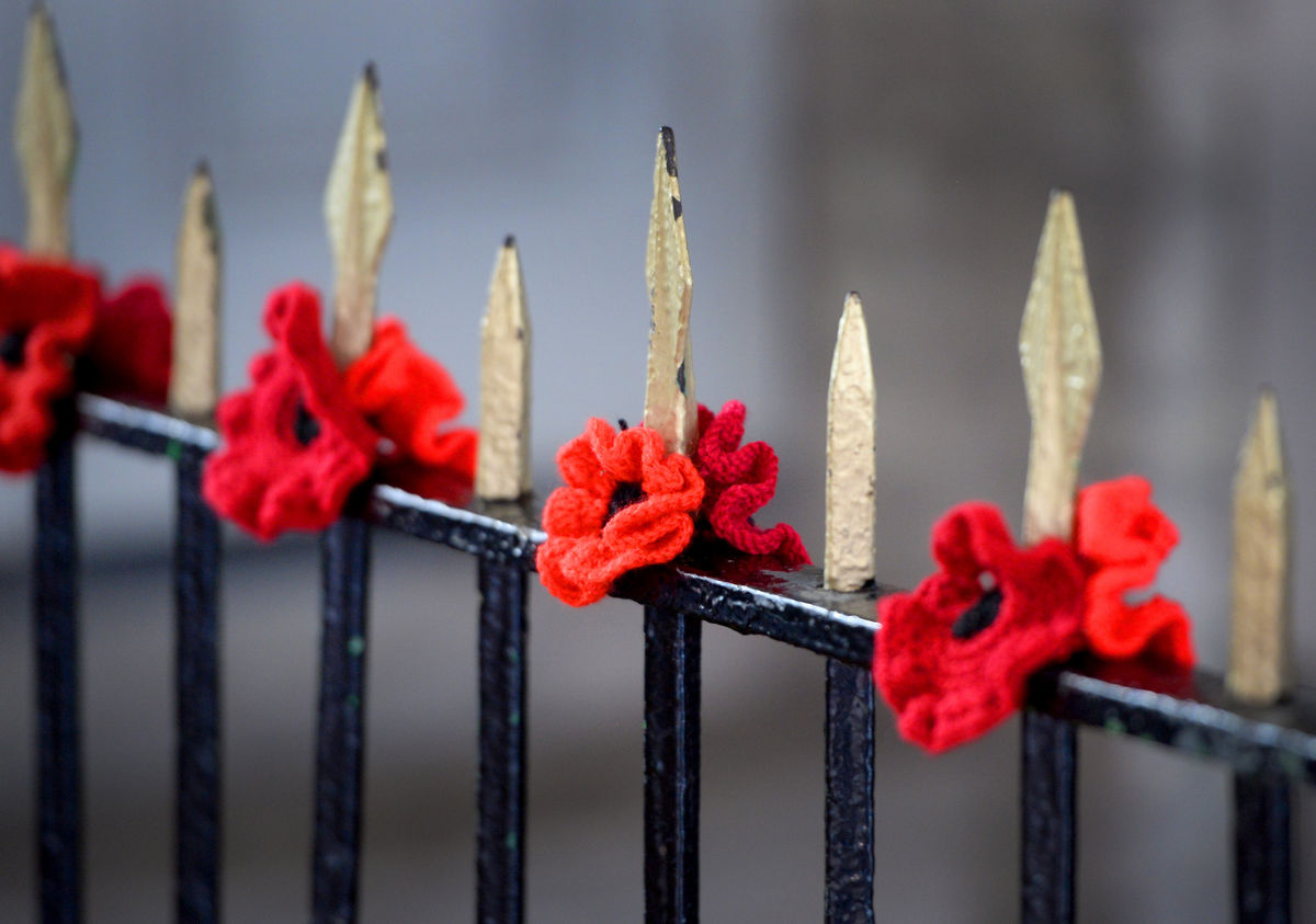 Poppy displays spread through town | Shropshire Star