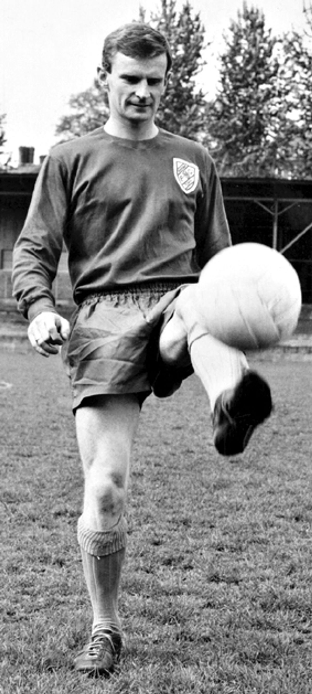 Former Shrewsbury Town captain Geoff Fellows dies, aged 76 | Shropshire ...