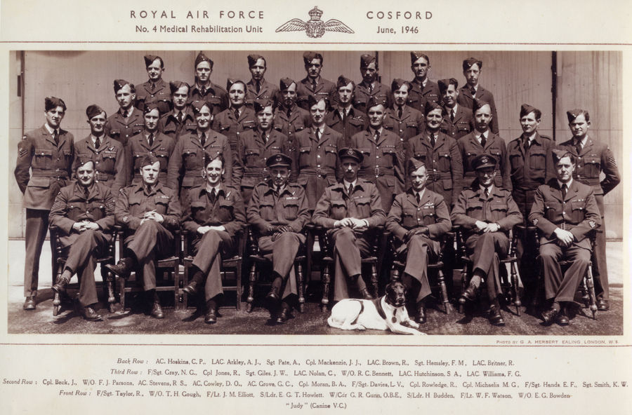 Telford-based PDSA's century of helping sick animals | Shropshire Star