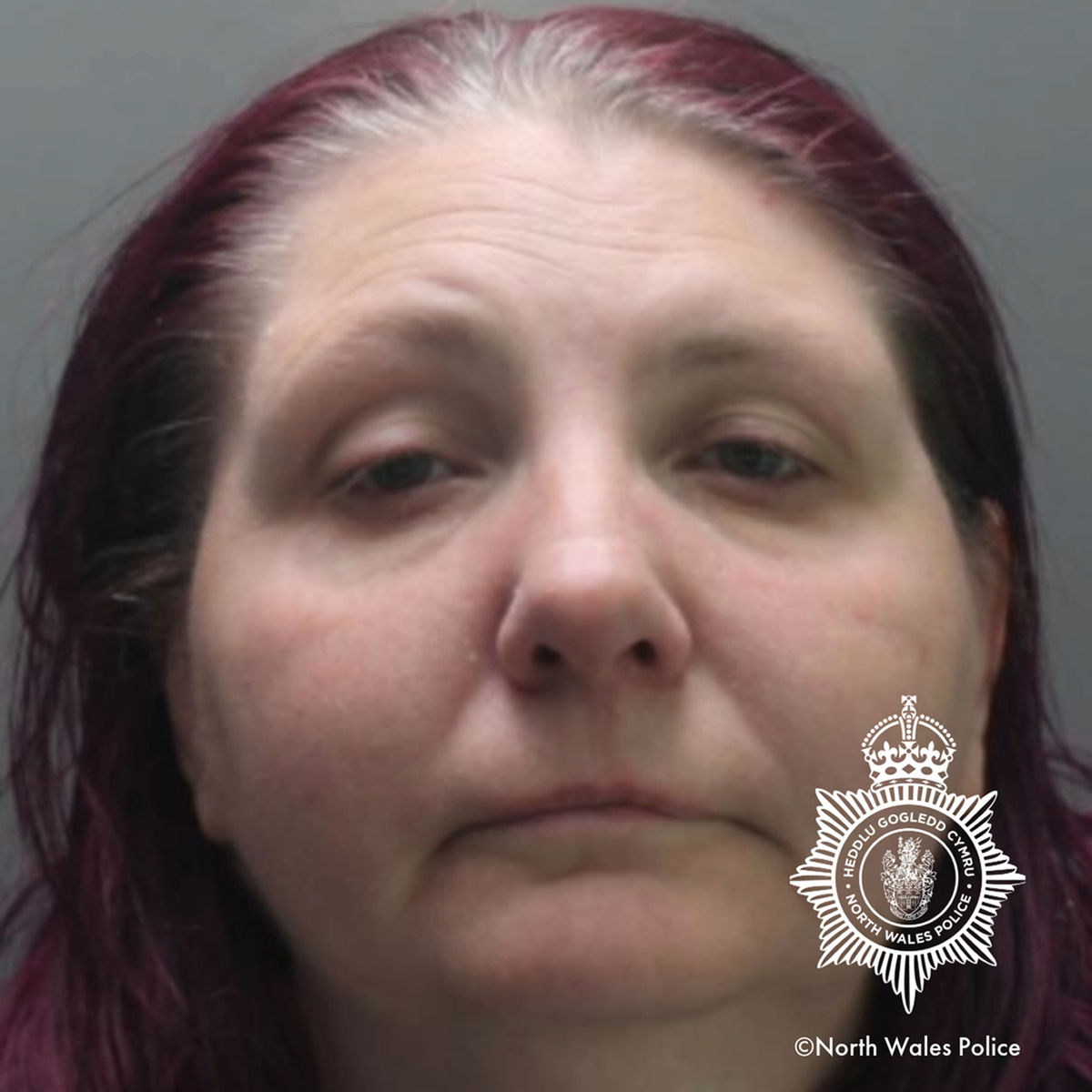 Timeline of events leading up to the death of Ethan Ives-Griffiths at hands of his grandparents ...