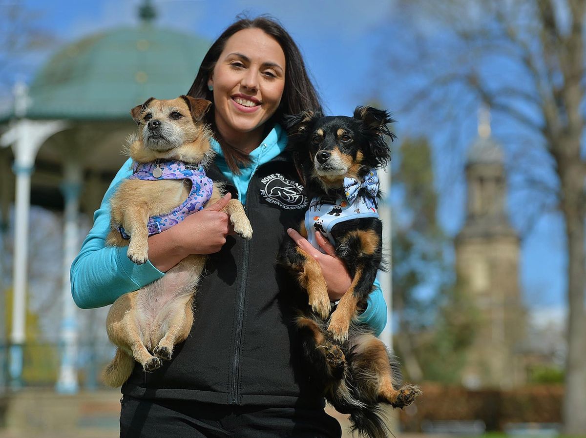 Whitchurch trainer helps dogs to become happier and healthier ...