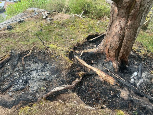 7 signs your child could be a 'fire starter', according to Shropshire ...