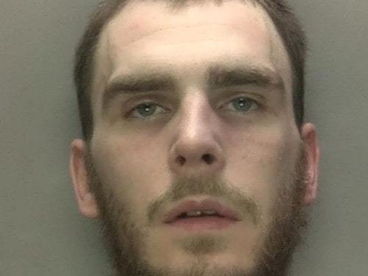 Thief behind one-man crime wave faces jail after admitting stealing ...