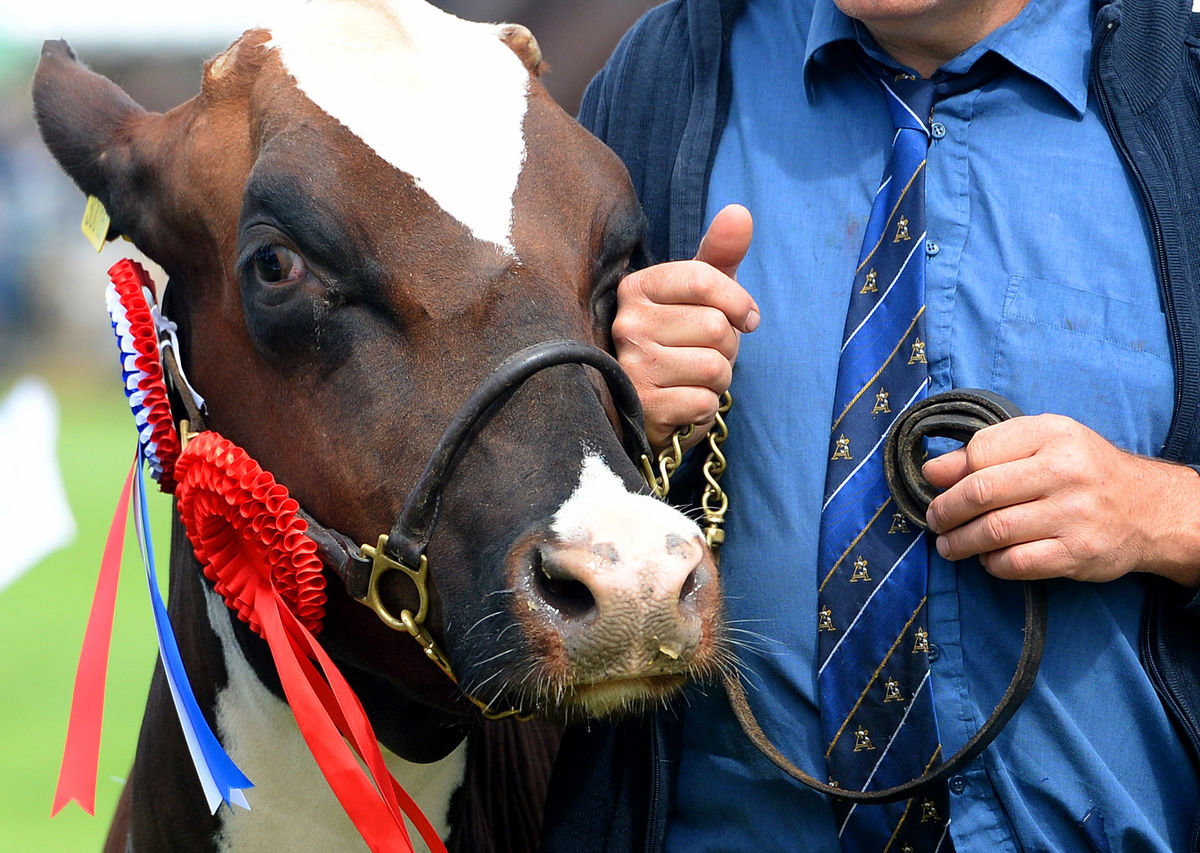 Farming is in 'a reasonably strong position' says Shrewsbury NFU boss ...