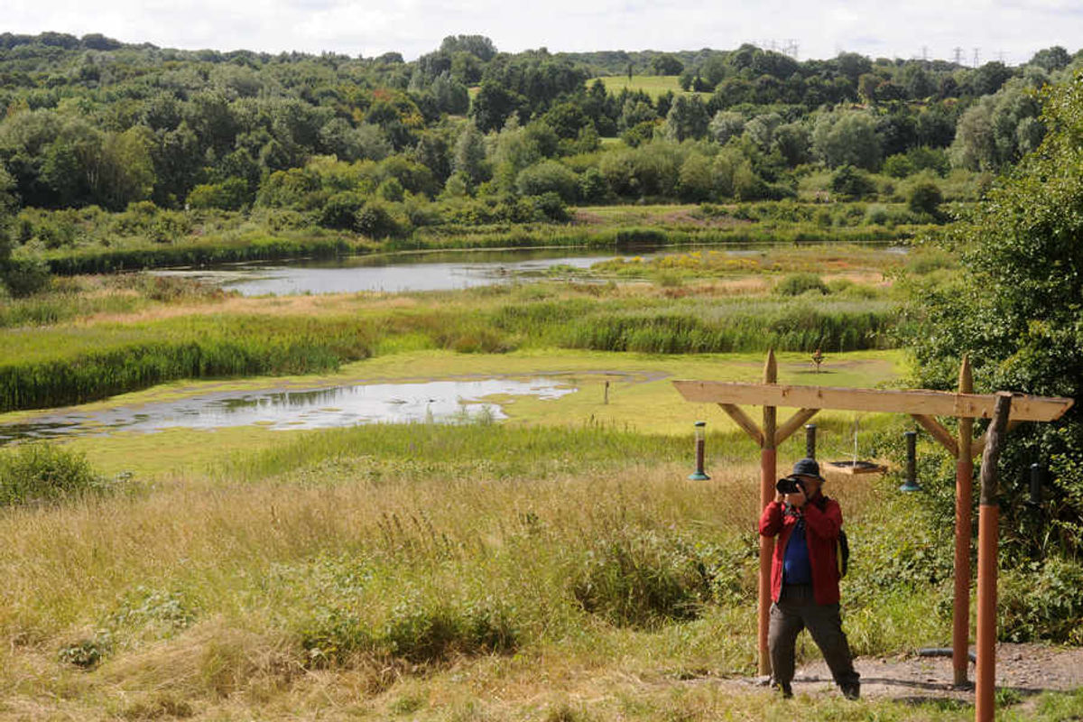 Going wild for RSPB Sandwell Valley nature reserve | Express & Star