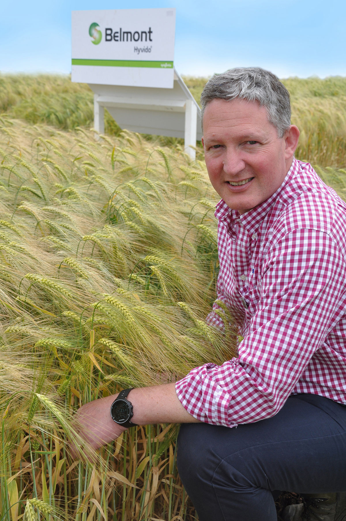 New hybrid raises the bar for UK barley yield | Shropshire Star