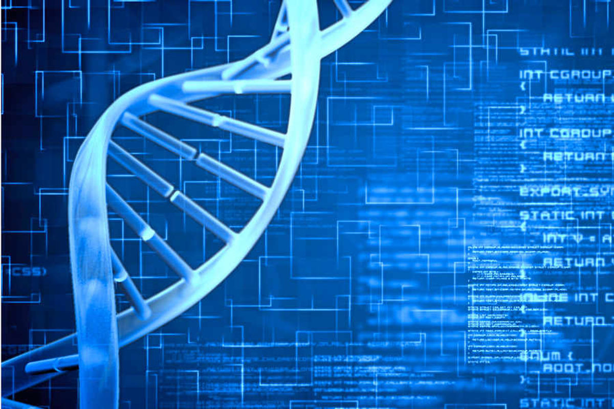 DNA: It's gene-ius - our reporters find out what makes them who they ...