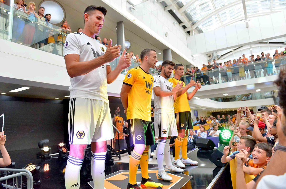 Danny Batth: Signings set a new standard at Wolves - VIDEO | Express & Star