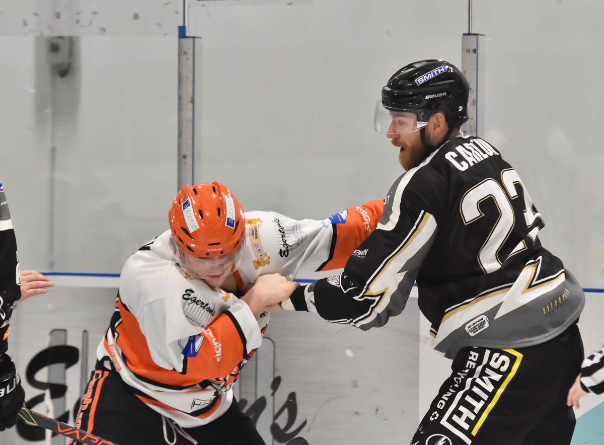 Tom Carlon signs for Telford Tigers | Shropshire Star