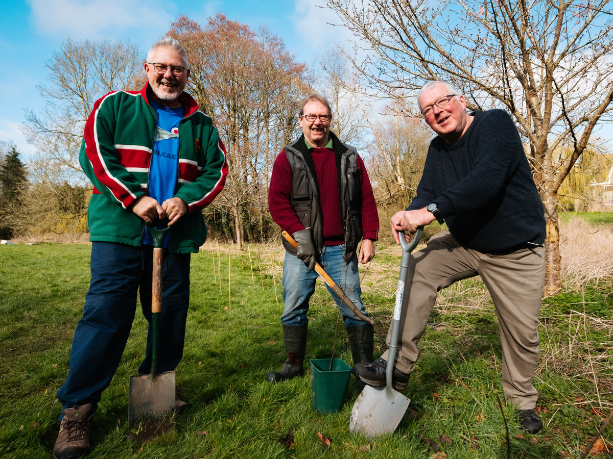 Trees planting project set to boost town's green environment ...