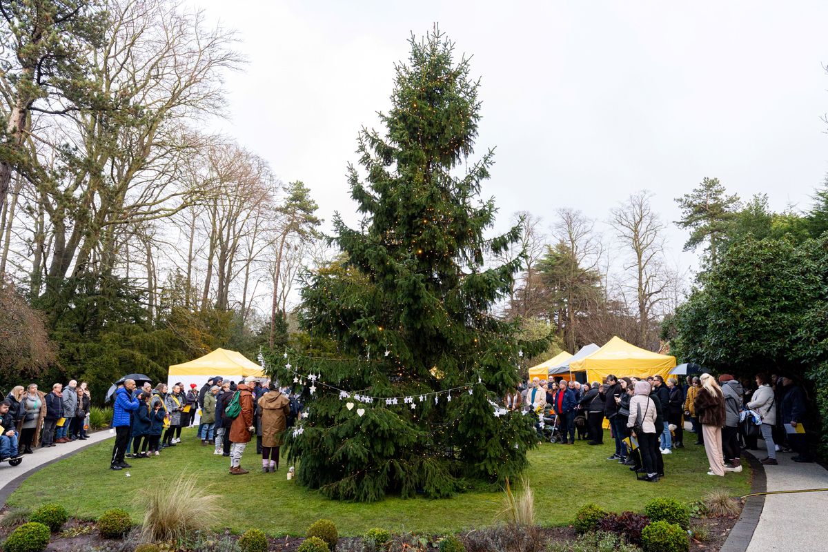 Annual campaign set to light up a life at Christmas for Wolverhampton ...