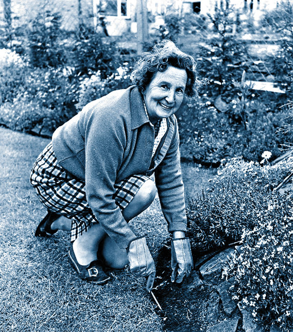 Dorothy Round: Black Country girl who twice conquered Wimbledon ...