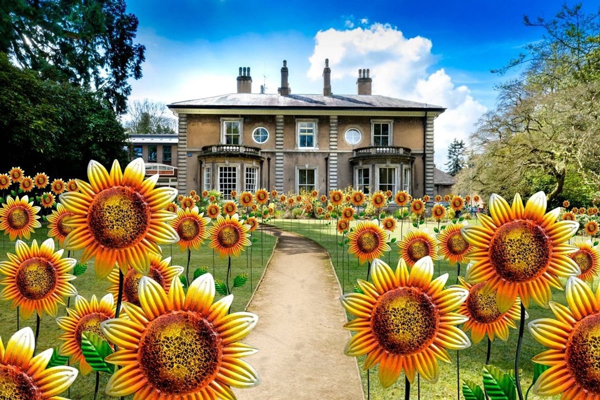 Compton Hospice: Chief executive speaks about challenges but exciting ...