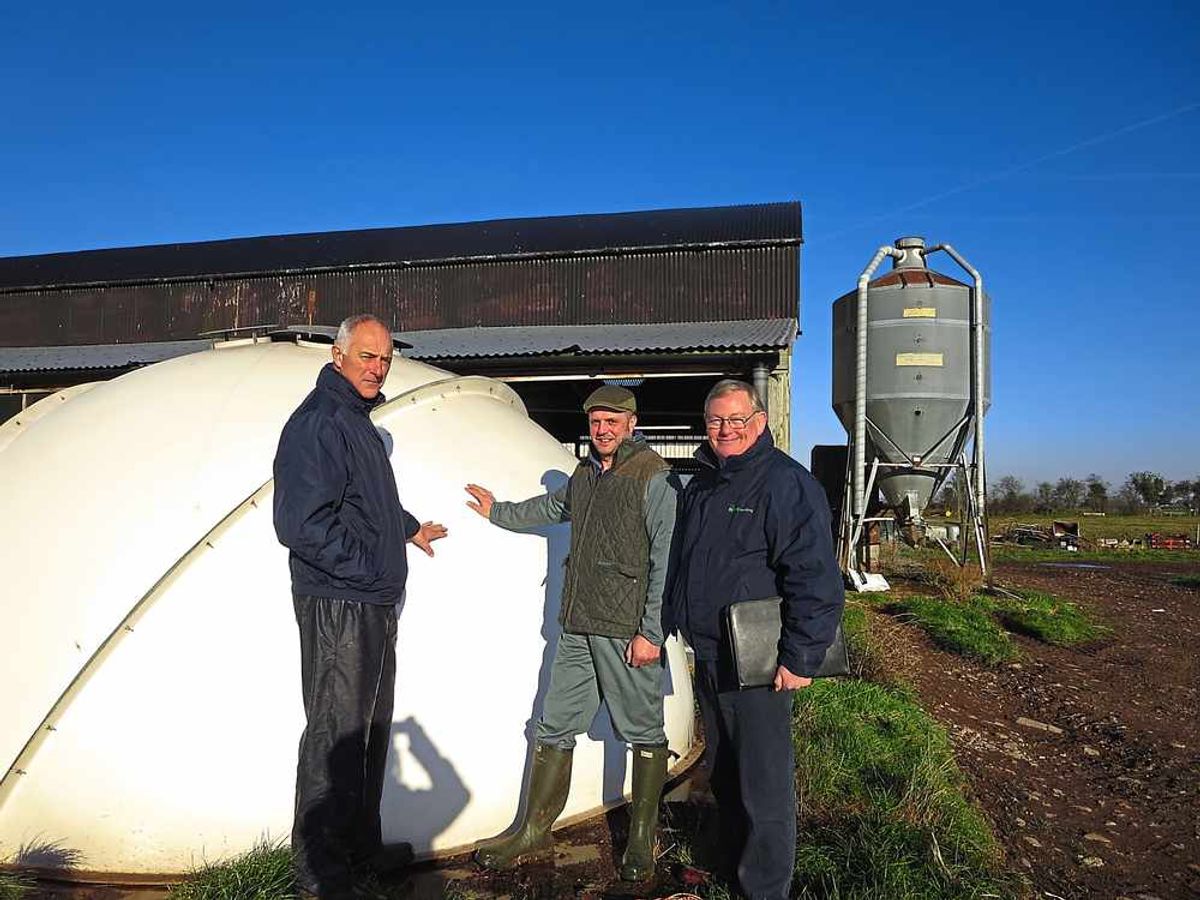 Focusing on calf health | Shropshire Star