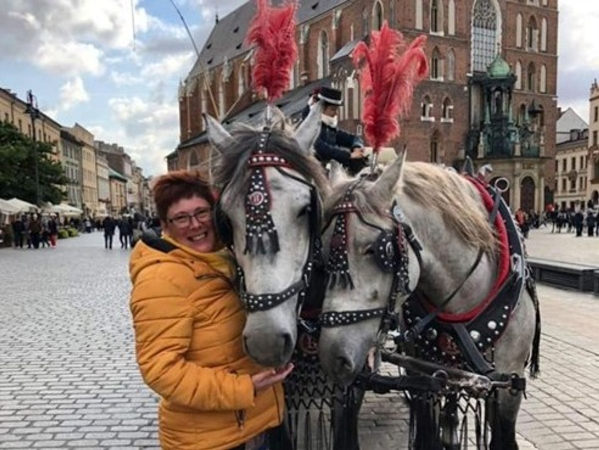 Shropshire woman, 48, died after car she was a passenger in hit a horse ...