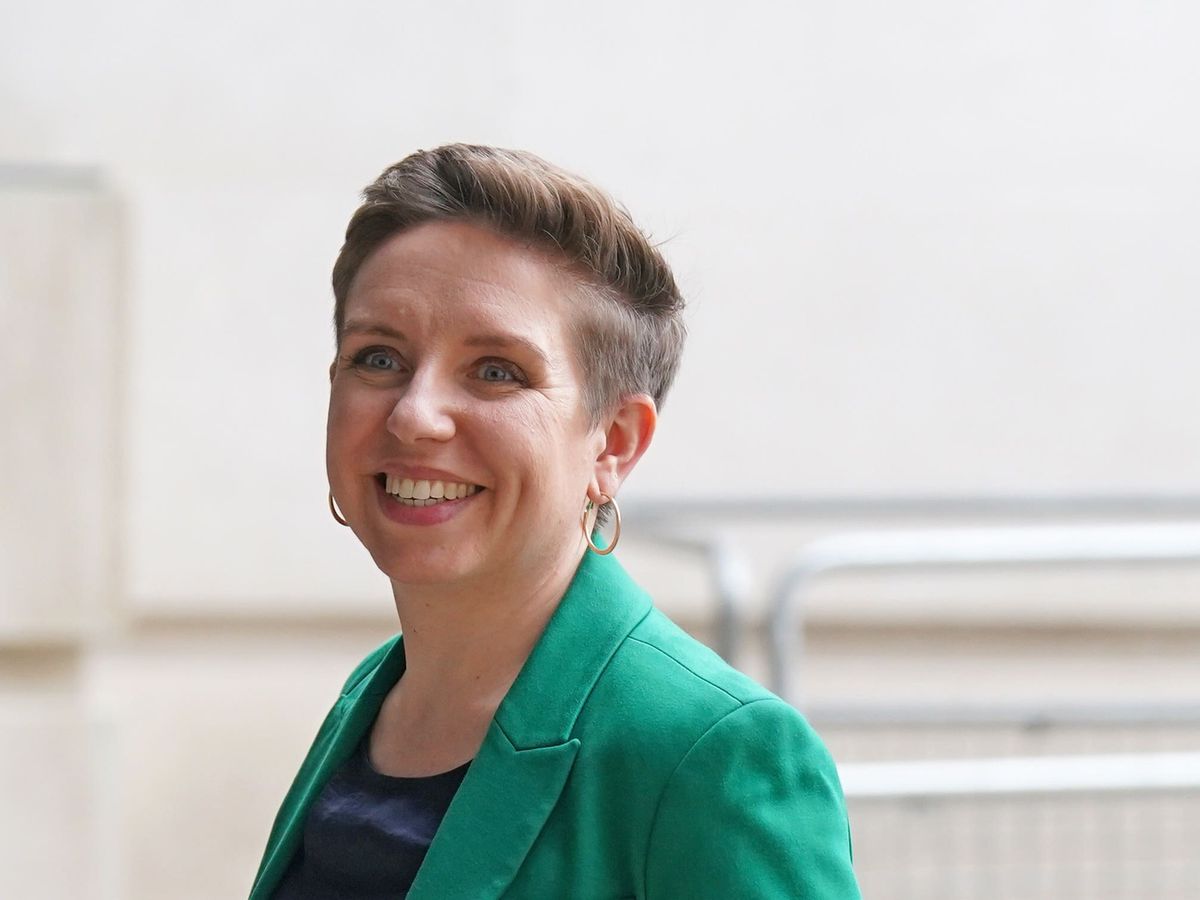 Green MPs would push Labour government to be ‘braver and bolder’, says ...