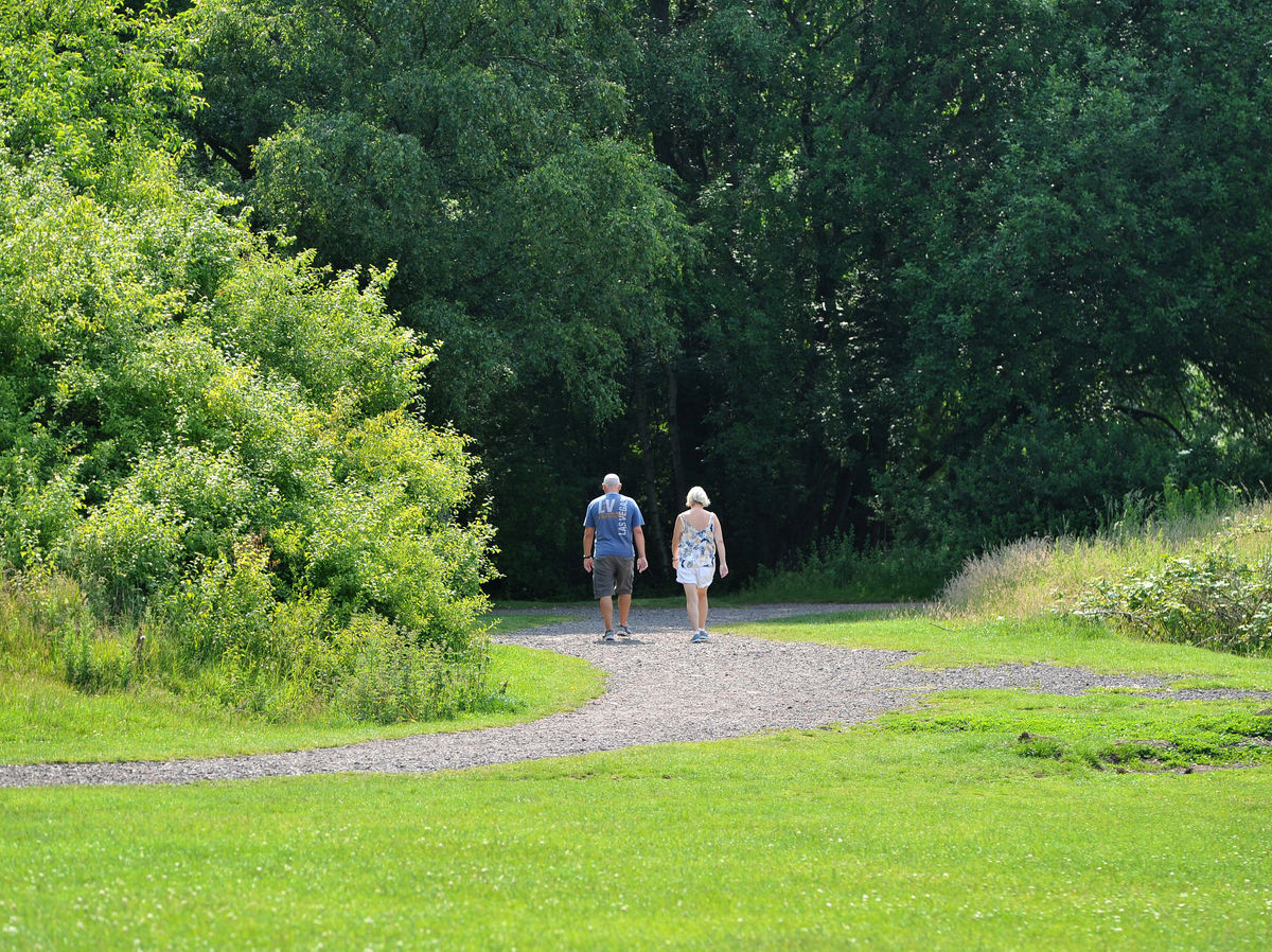 10 of the best places to go for a walk in the West Midlands this spring | Express & Star