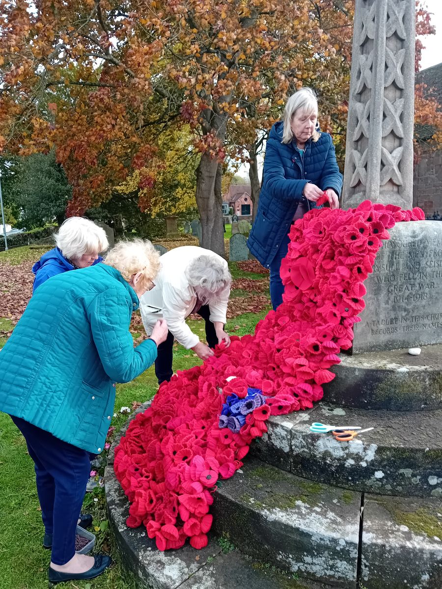 WI members keep poppy tribute alive in Trysull | Express & Star