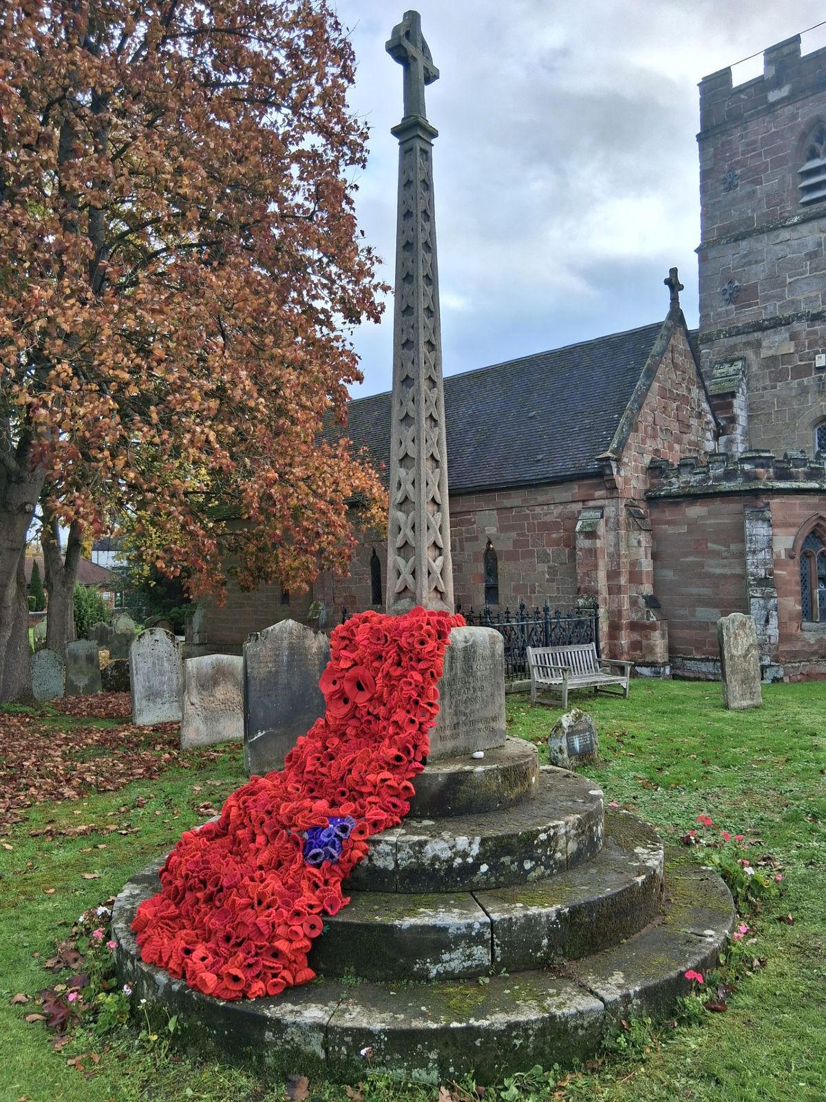 WI members keep poppy tribute alive in Trysull | Express & Star