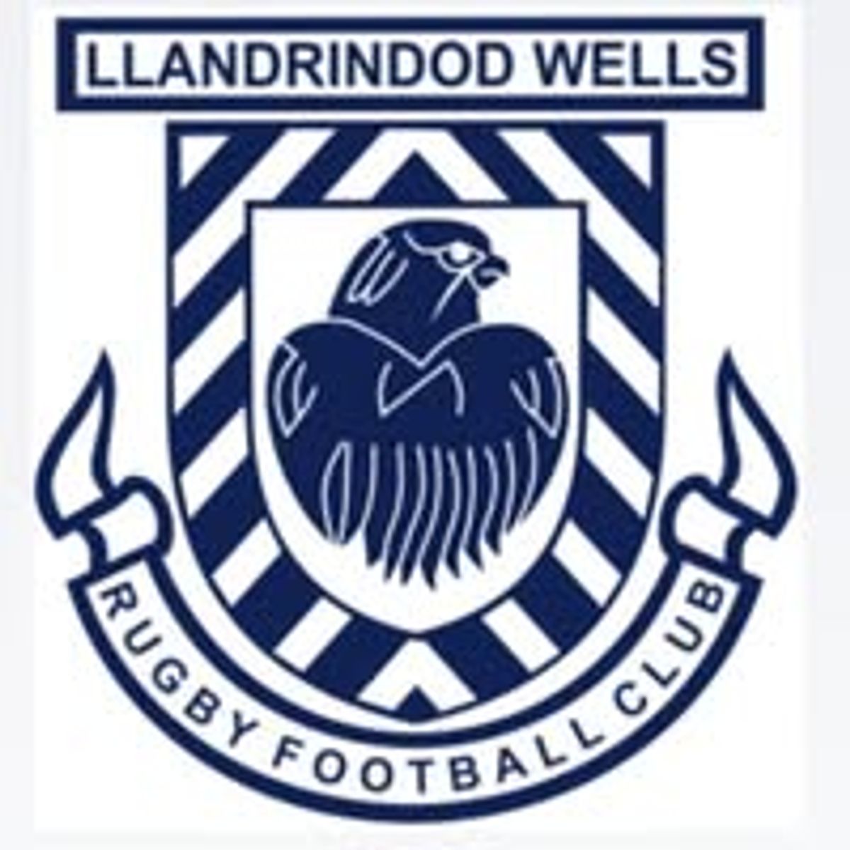 A Mid Wales rugby club, whose ground is being used more often, will ...