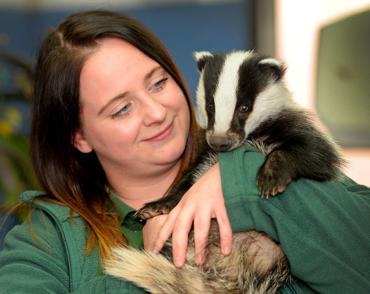 Helping hand for animals great and small | Express & Star