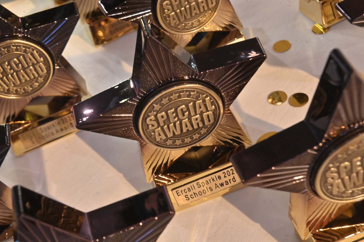 15 'sparkling' pictures capture Telford school's special night of ...