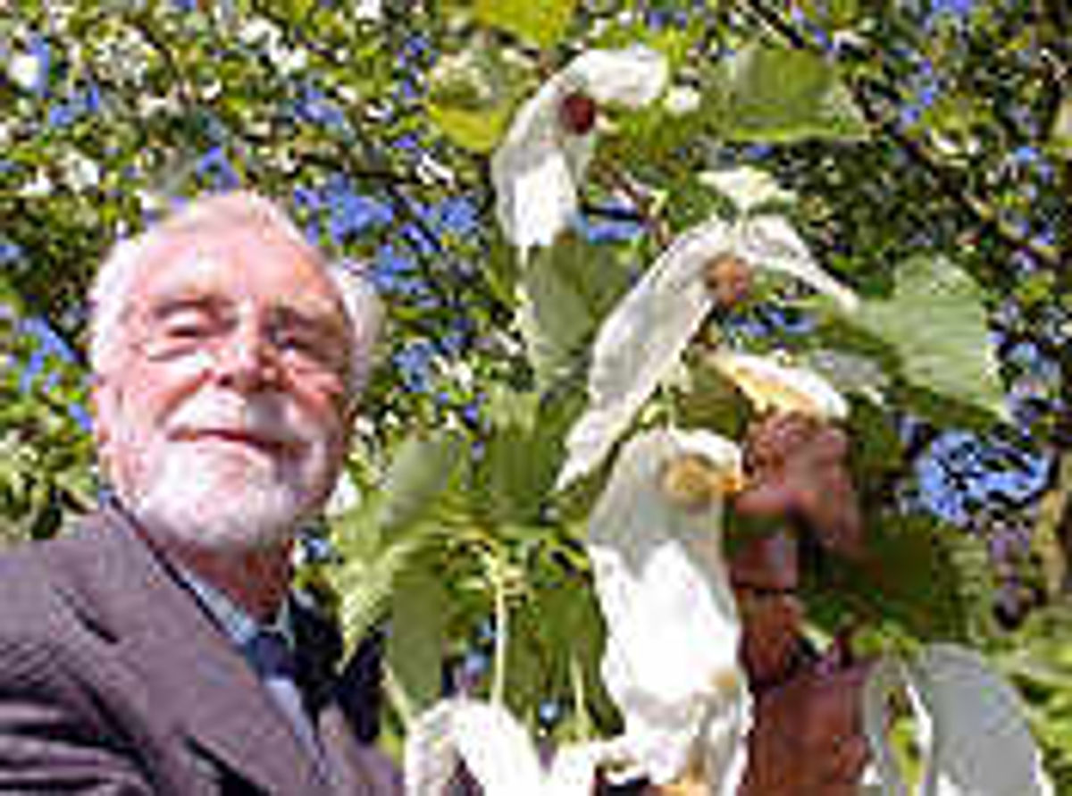 Blooms recall tragic couple | Express & Star