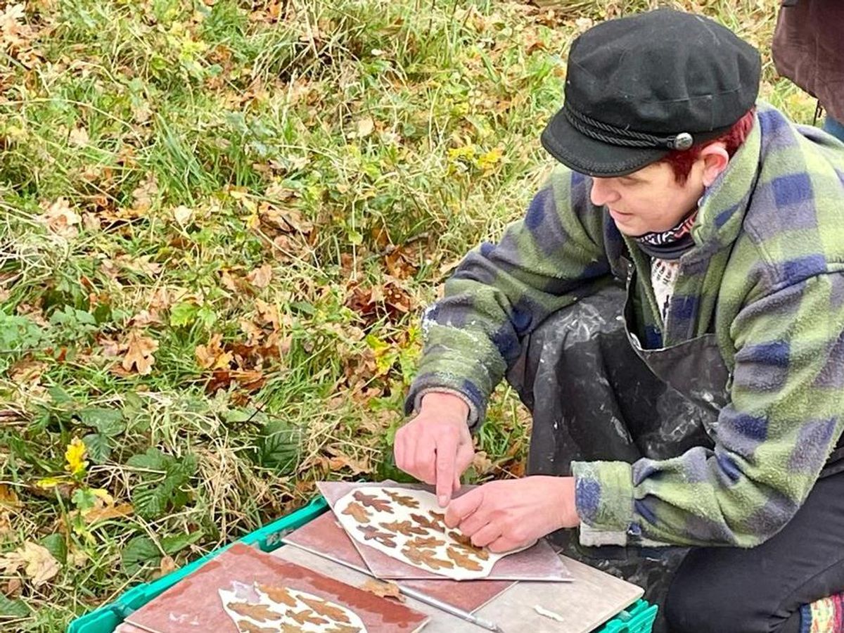 Leaves from Darwin Oak helping fund campaign to stop relief road that ...