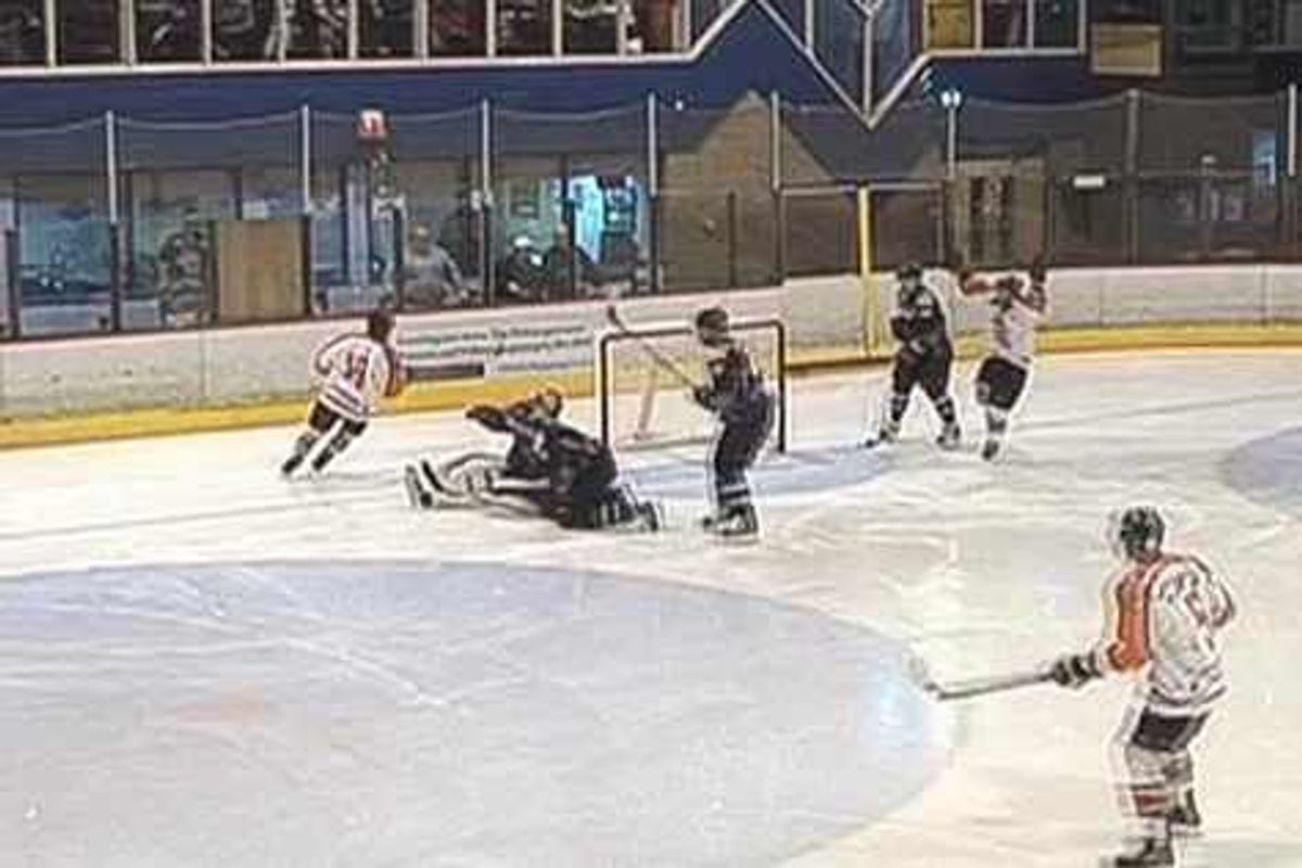 Telford Tigers v Manchester Phoenix - match video | Shropshire Star