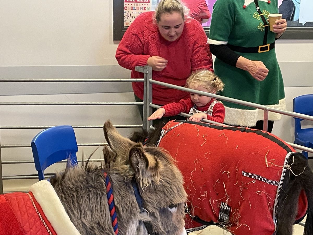 Donkeys visit as Walsall Manor Hospital switches on Christmas lights ...