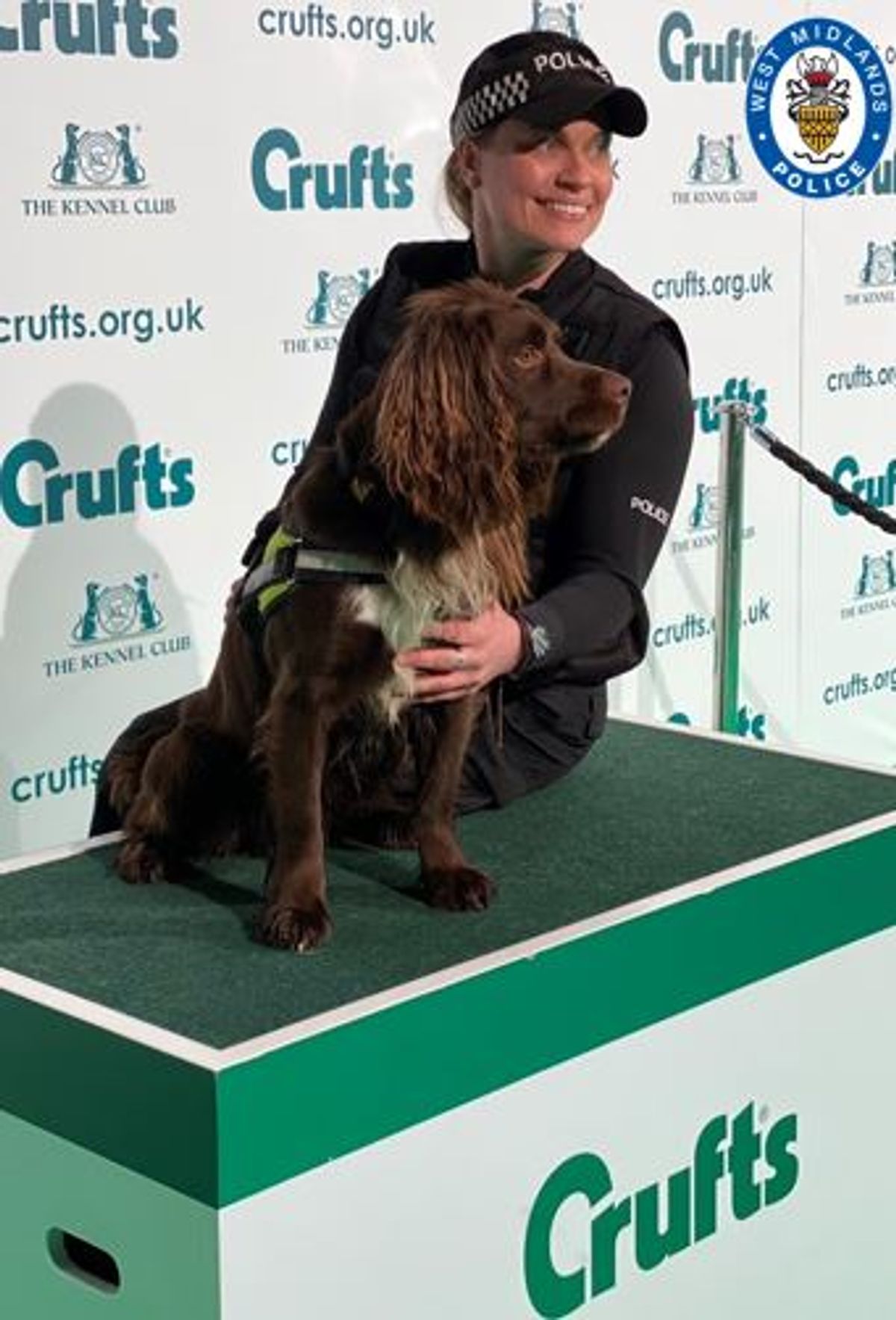 Crufts 2025:Watch police dogs at work ahead of show display | Express ...