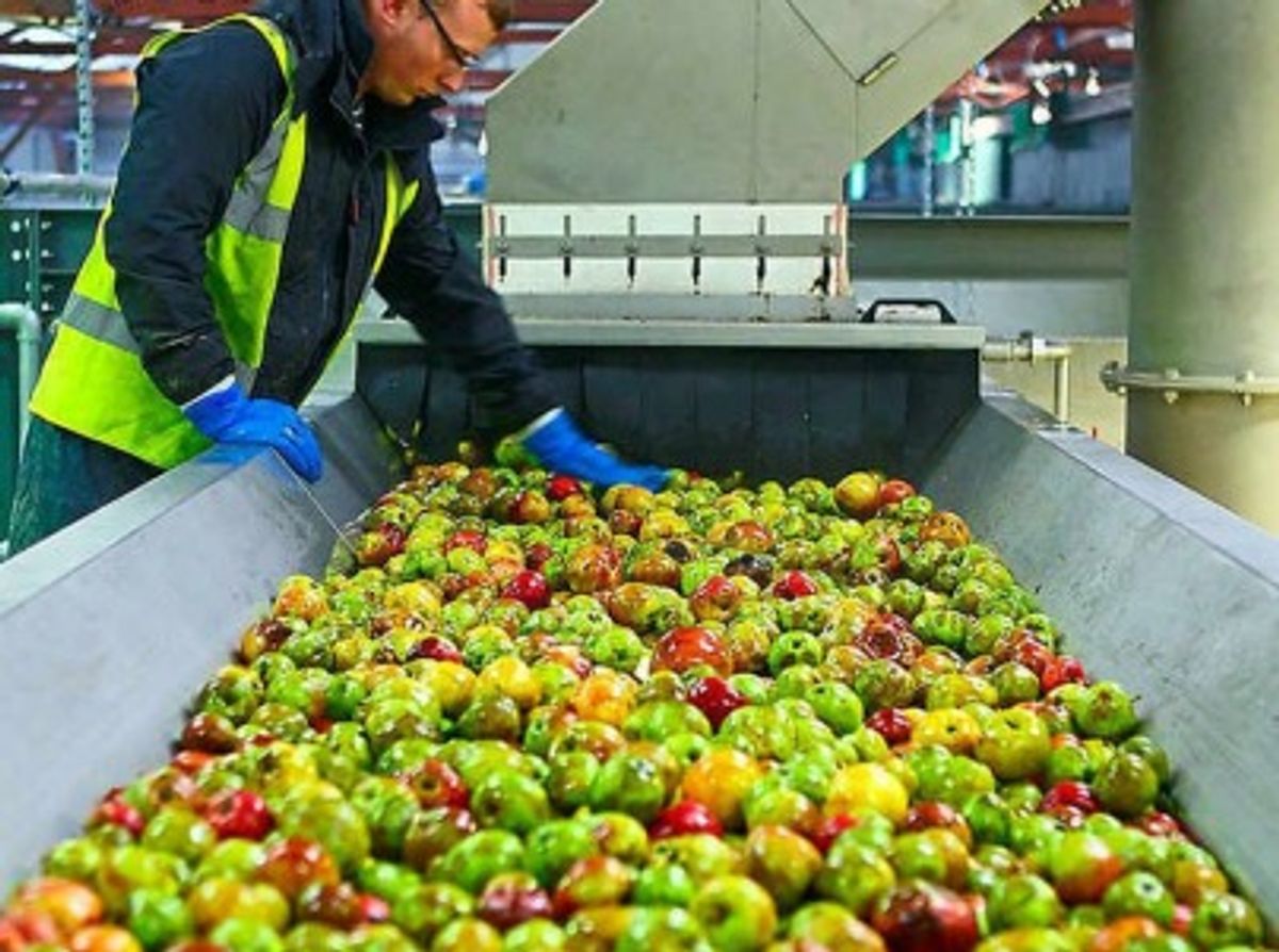 West Midlands cider producer celebrates successful summer and Aldi ...