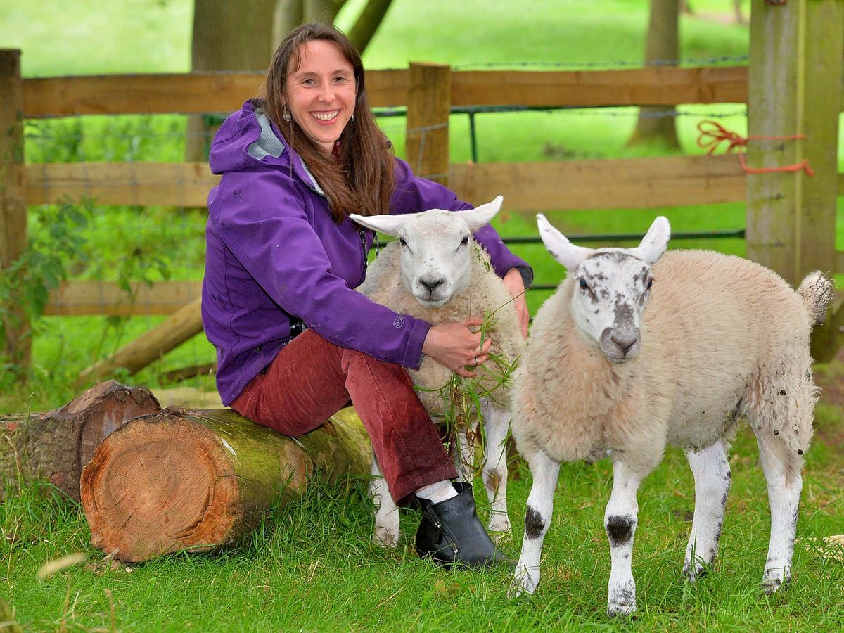 Diversification nothing new at England’s first ever community-owned ...