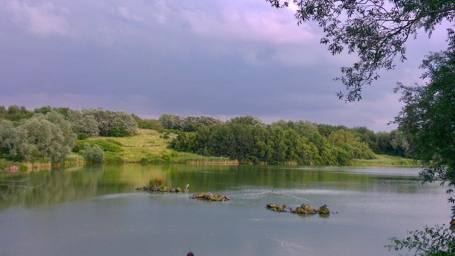 Perfect place to pick best Tipton park picture | Express & Star